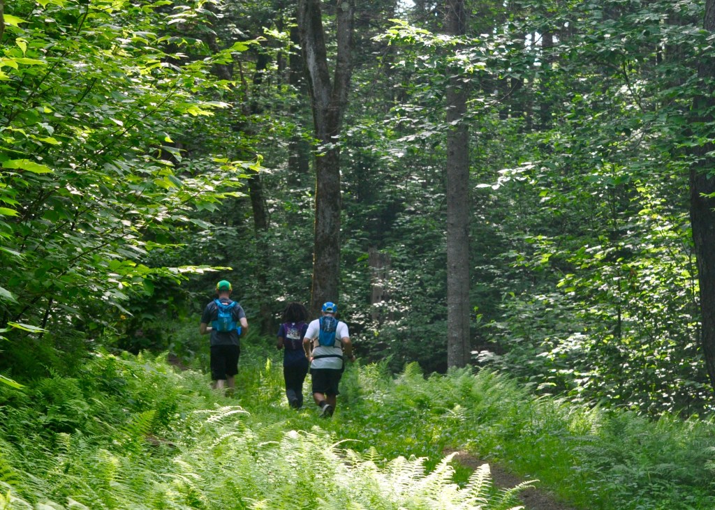 Photos: Notchview Ultra | MassUltra