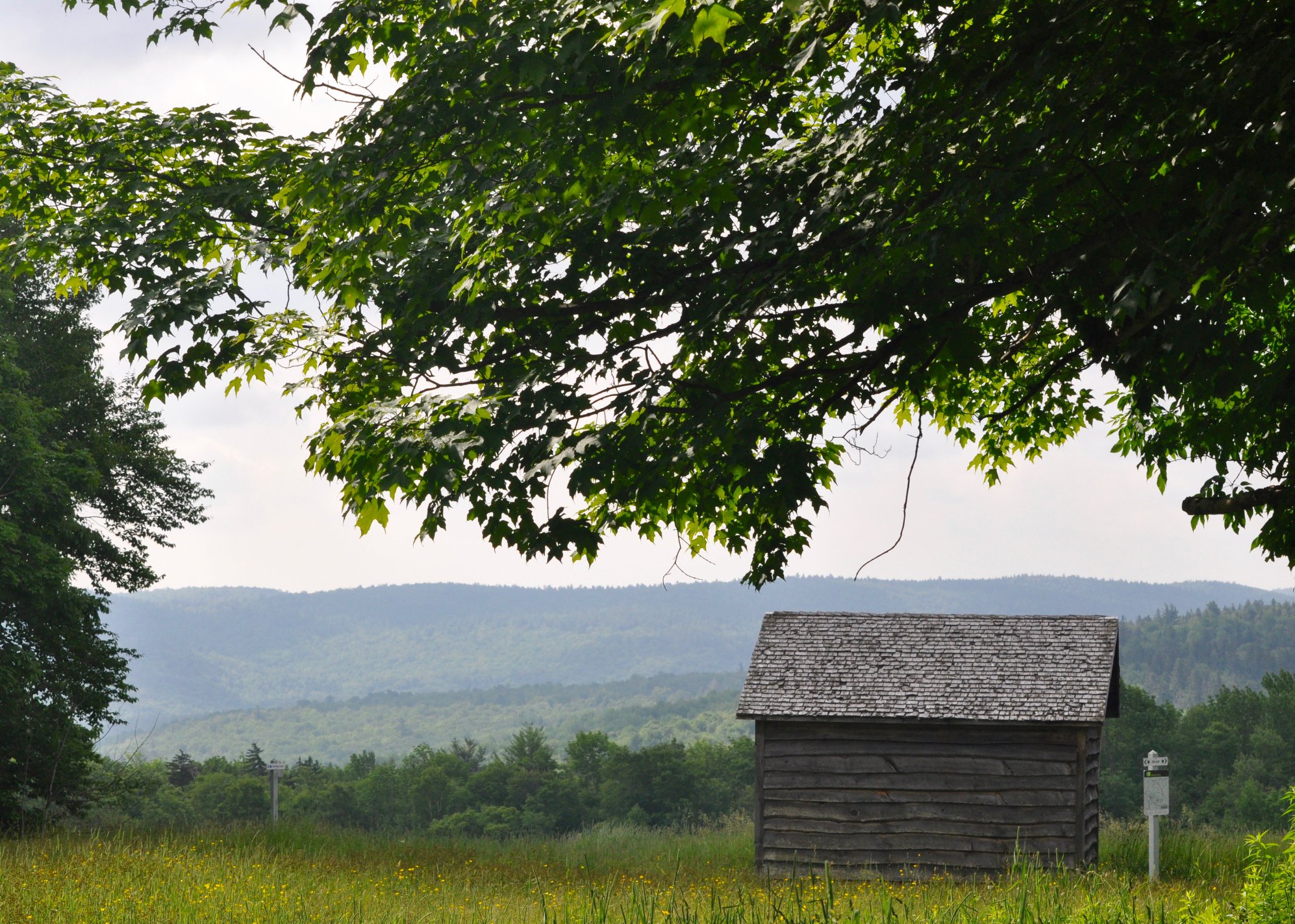 Runners Deliver Super-Sized Performances at Scaled-Down Notchview Ultra ...