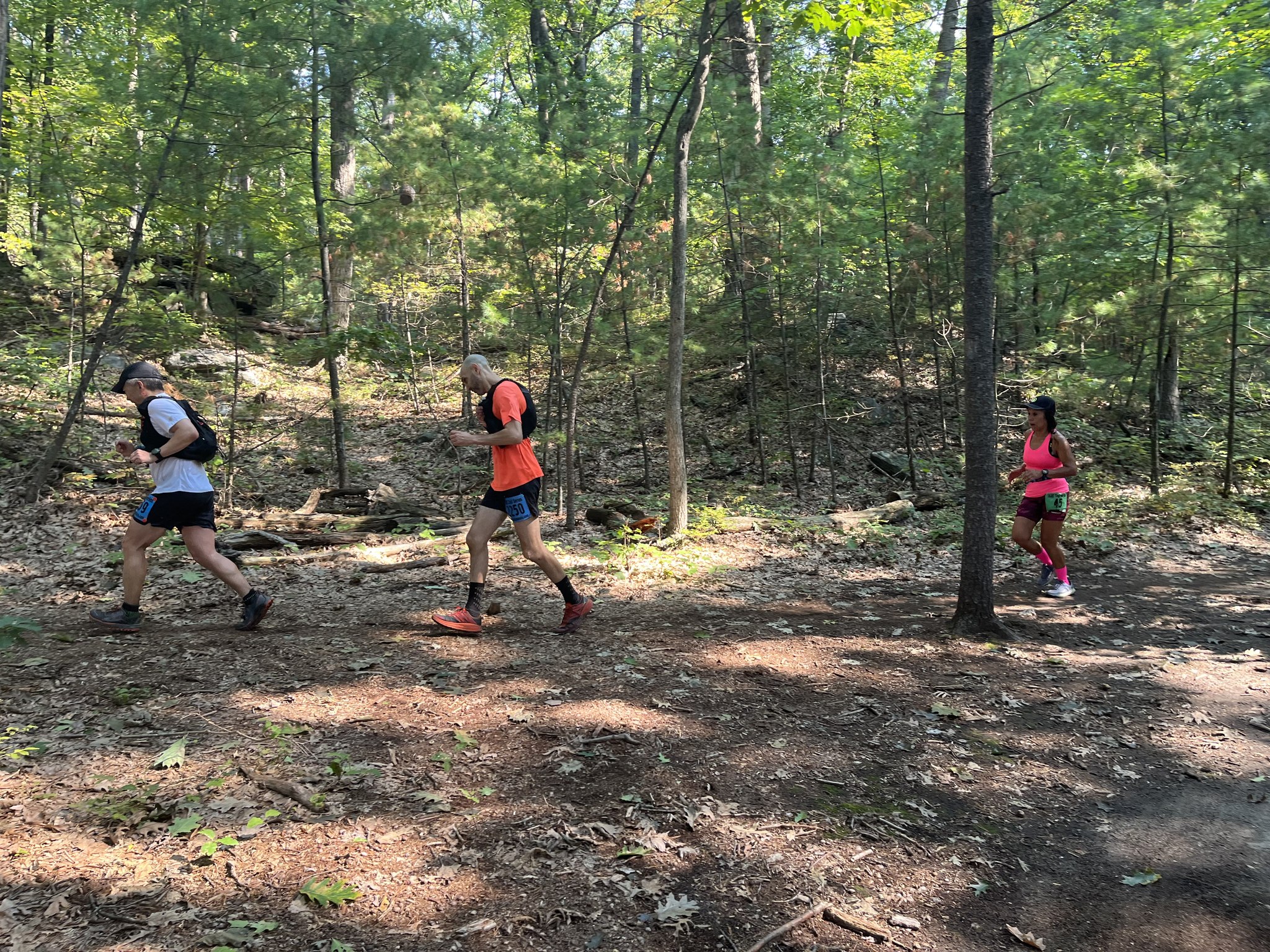 TARC Fall Classic Returns with New RD, Huge Turnout and Big ...