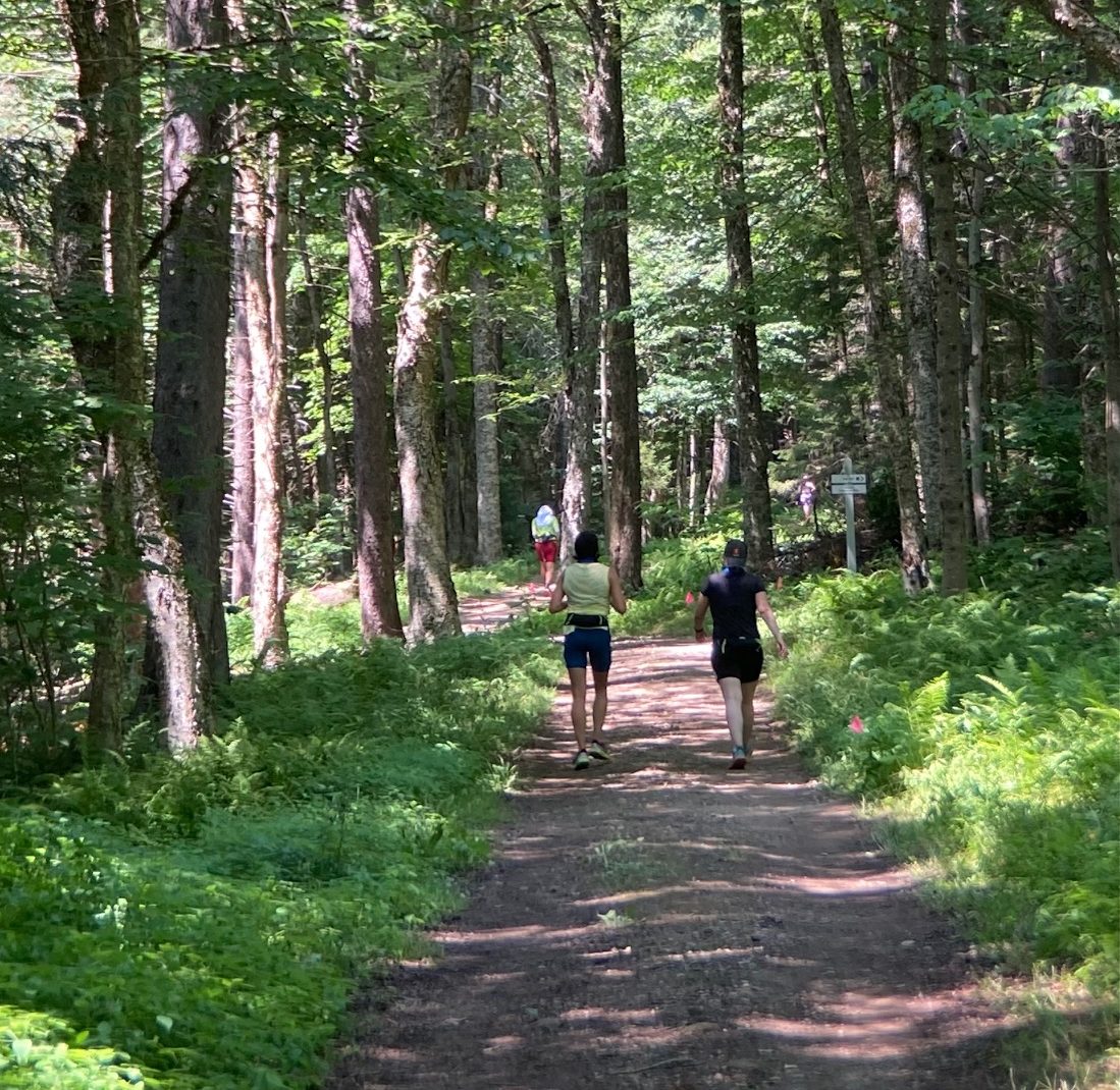 Results: BURCS Notchview Ultra | MassUltra